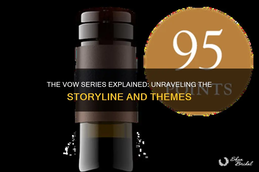 The Vow Series Explained: Unraveling The Storyline And Themes | ShunBridal