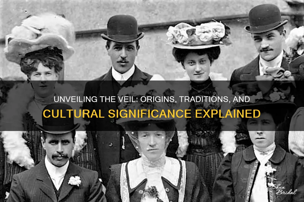 Unveiling The Veil: Origins, Traditions, And Cultural Significance ...