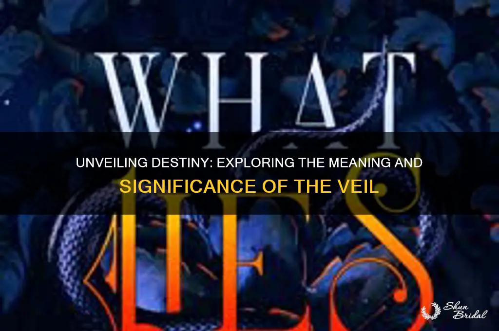 Unveiling Destiny: Exploring The Meaning And Significance Of The Veil ...