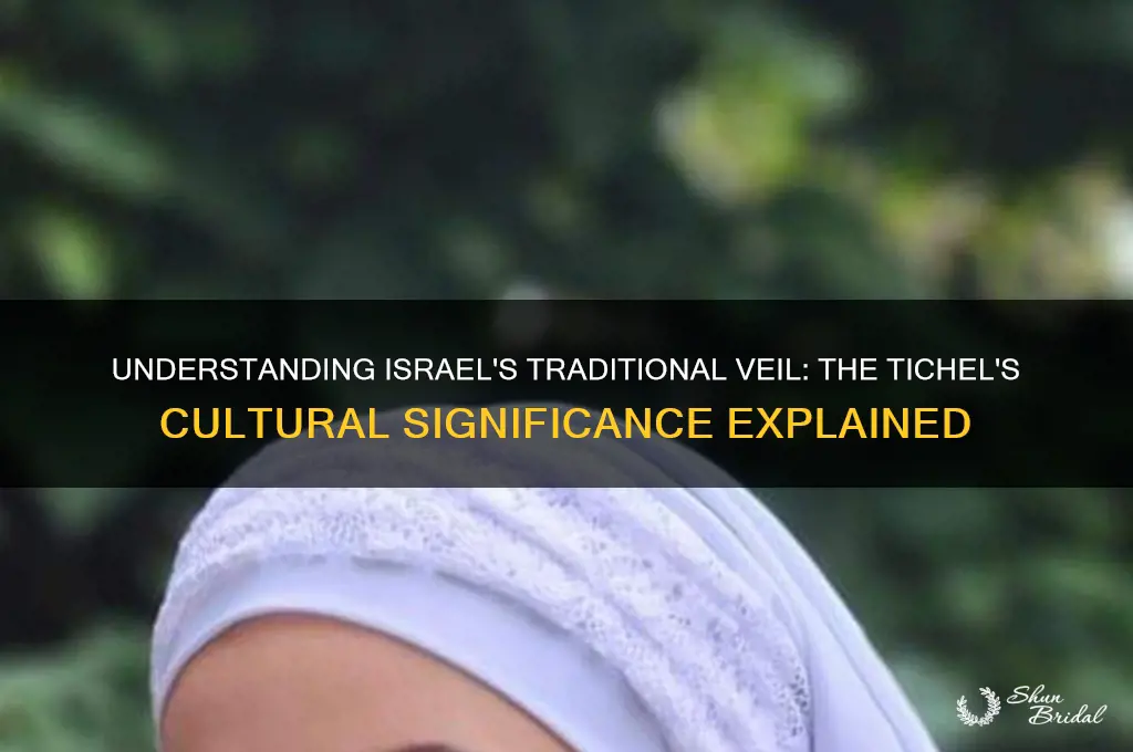 Understanding Israel's Traditional Veil: The Tichel's Cultural ...