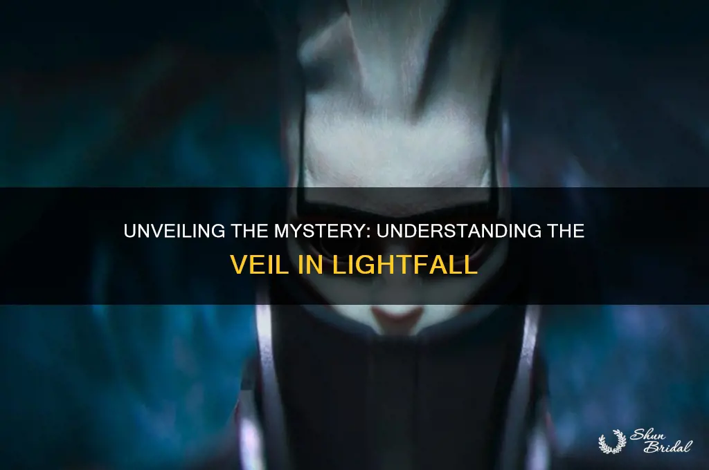 Unveiling The Mystery: Understanding The Veil In Lightfall | ShunBridal