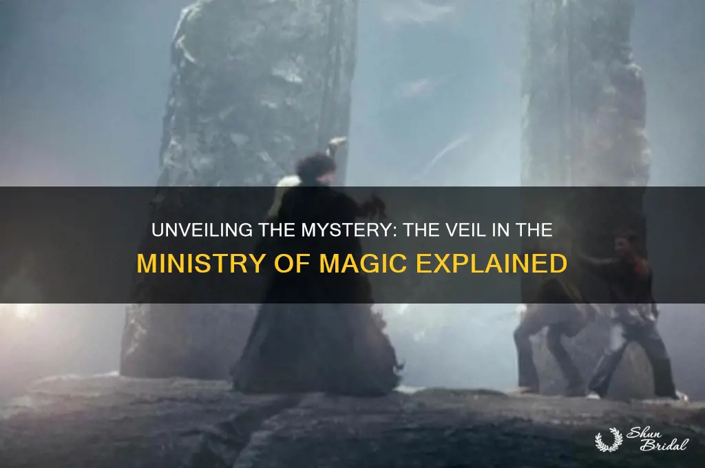 Unveiling The Mystery: The Veil In The Ministry Of Magic Explained ...