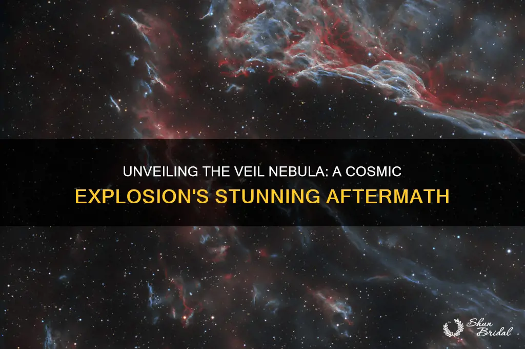 Unveiling The Veil Nebula: A Cosmic Explosion's Stunning Aftermath ...