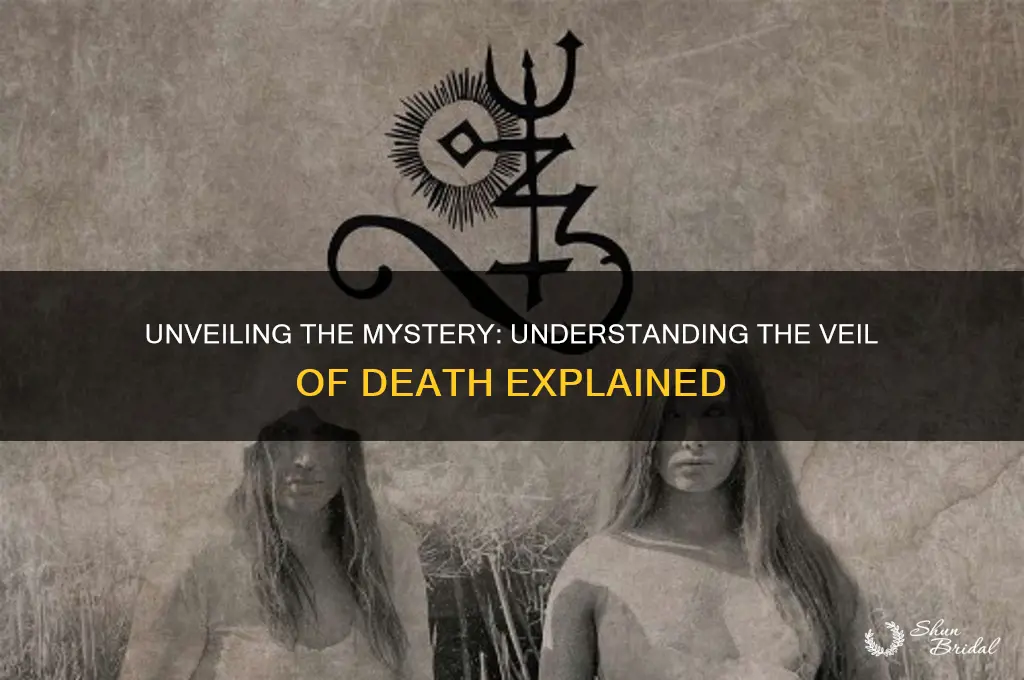 Unveiling The Mystery: Understanding The Veil Of Death Explained ...