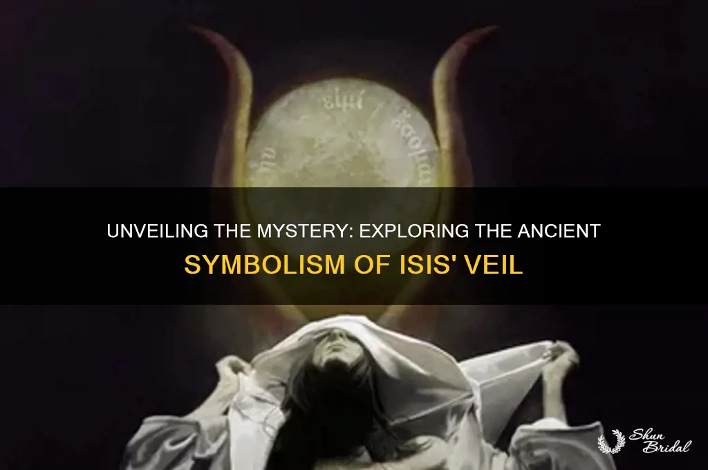 Unveiling The Mystery: Exploring The Ancient Symbolism Of Isis' Veil ...