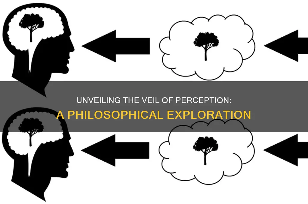 Unveiling The Veil Of Perception: A Philosophical Exploration | ShunBridal