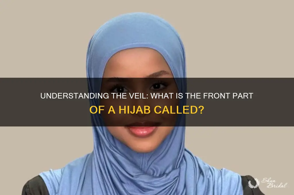 Understanding The Veil: What Is The Front Part Of A Hijab Called ...