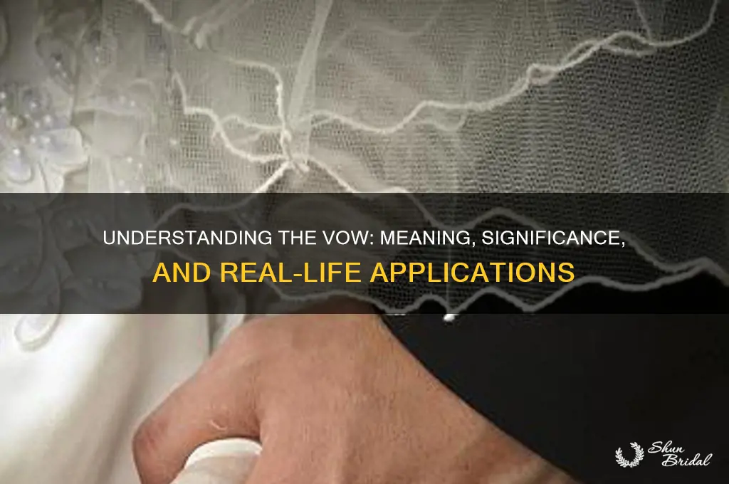 Understanding The Vow: Meaning, Significance, And Real-Life ...