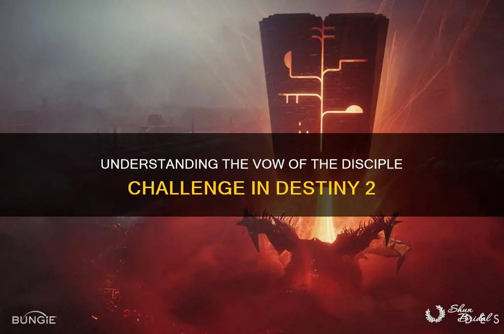 Understanding The Vow Of The Disciple Challenge In Destiny 2 | ShunBridal