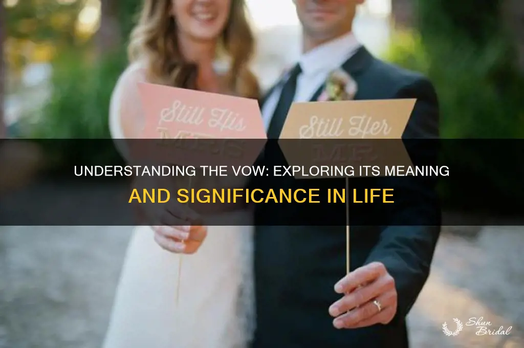 Understanding The Vow: Exploring Its Meaning And Significance In Life ...
