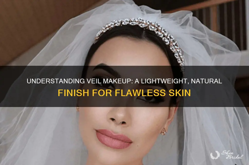 Understanding Veil Makeup: A Lightweight, Natural Finish For Flawless ...