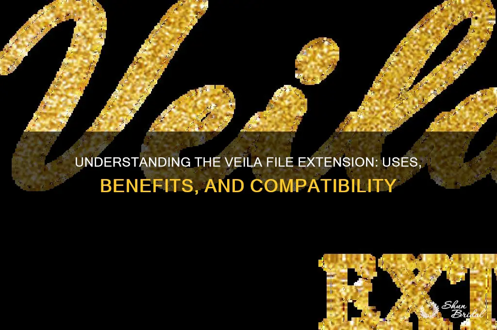 Understanding The Veila File Extension: Uses, Benefits, And ...