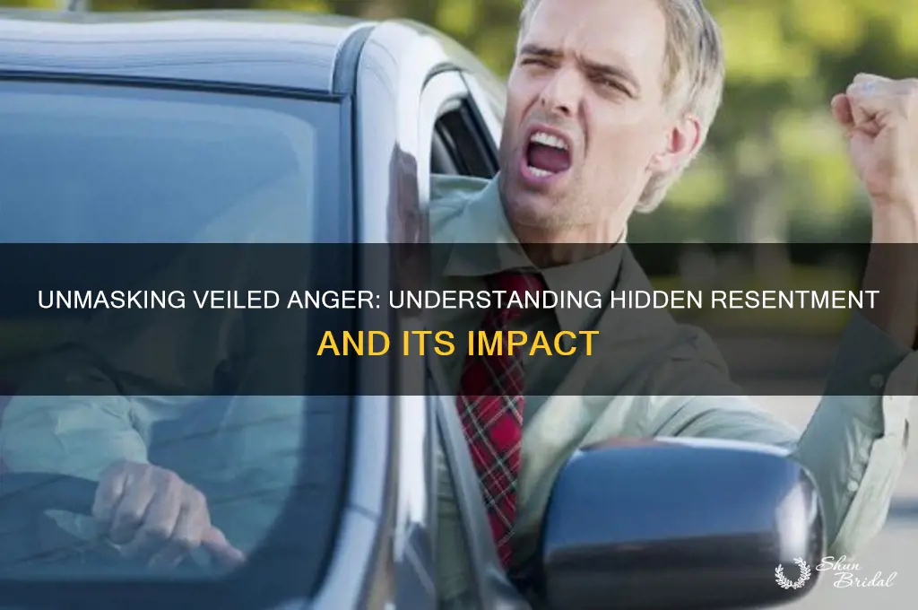 Unmasking Veiled Anger: Understanding Hidden Resentment And Its Impact ...
