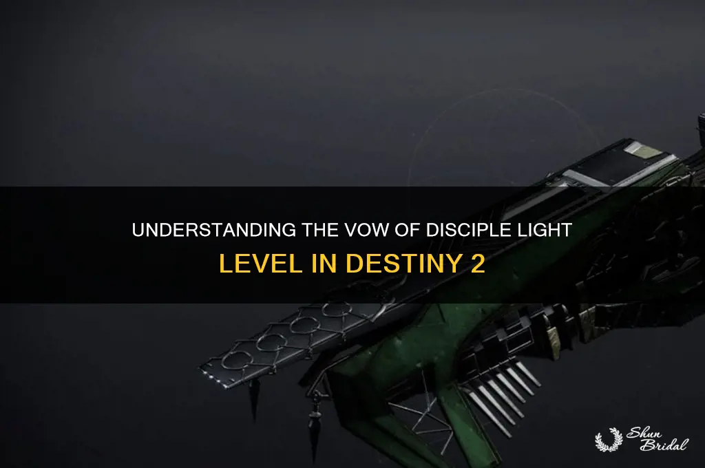 Understanding The Vow Of Disciple Light Level In Destiny 2 | ShunBridal