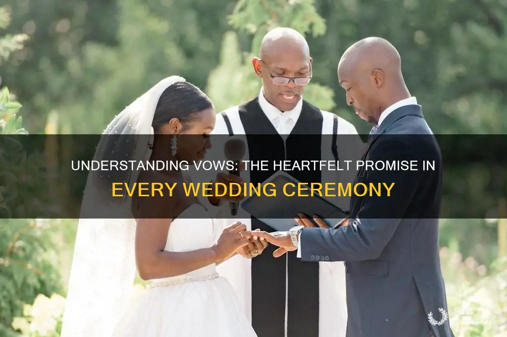 Understanding Vows: The Heartfelt Promise In Every Wedding Ceremony ...