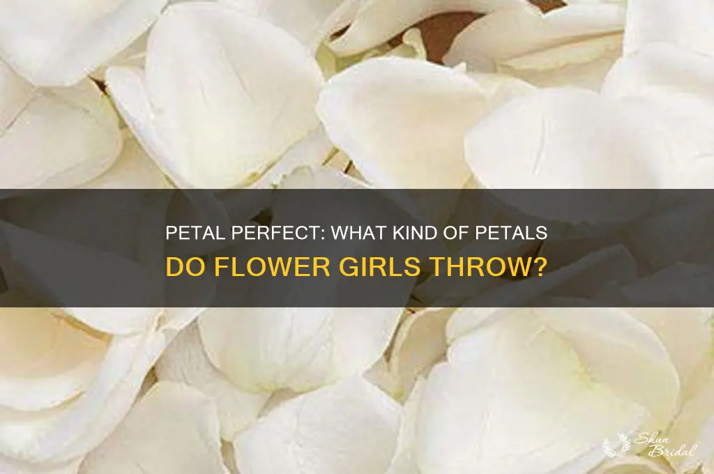 Petal Perfect: What Kind Of Petals Do Flower Girls Throw? | ShunBridal