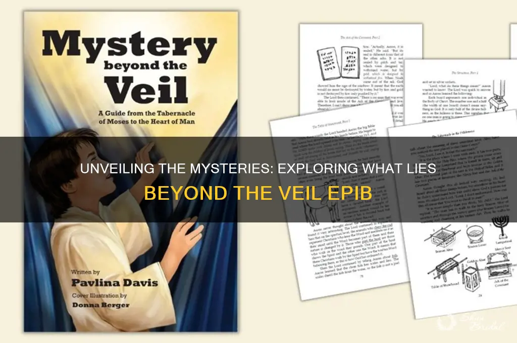 Unveiling The Mysteries: Exploring What Lies Beyond The Veil Epib ...