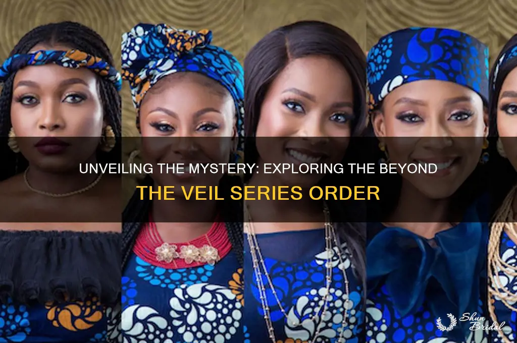 Unveiling The Mystery: Exploring The Beyond The Veil Series Order ...