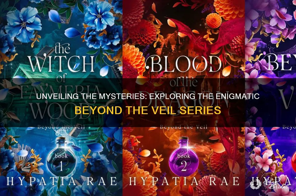 Unveiling The Mysteries: Exploring The Enigmatic Beyond The Veil Series ...