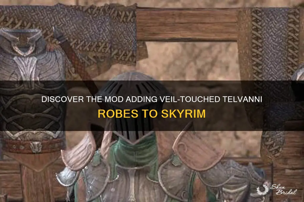 Discover The Mod Adding Veil-Touched Telvanni Robes To Skyrim | ShunBridal