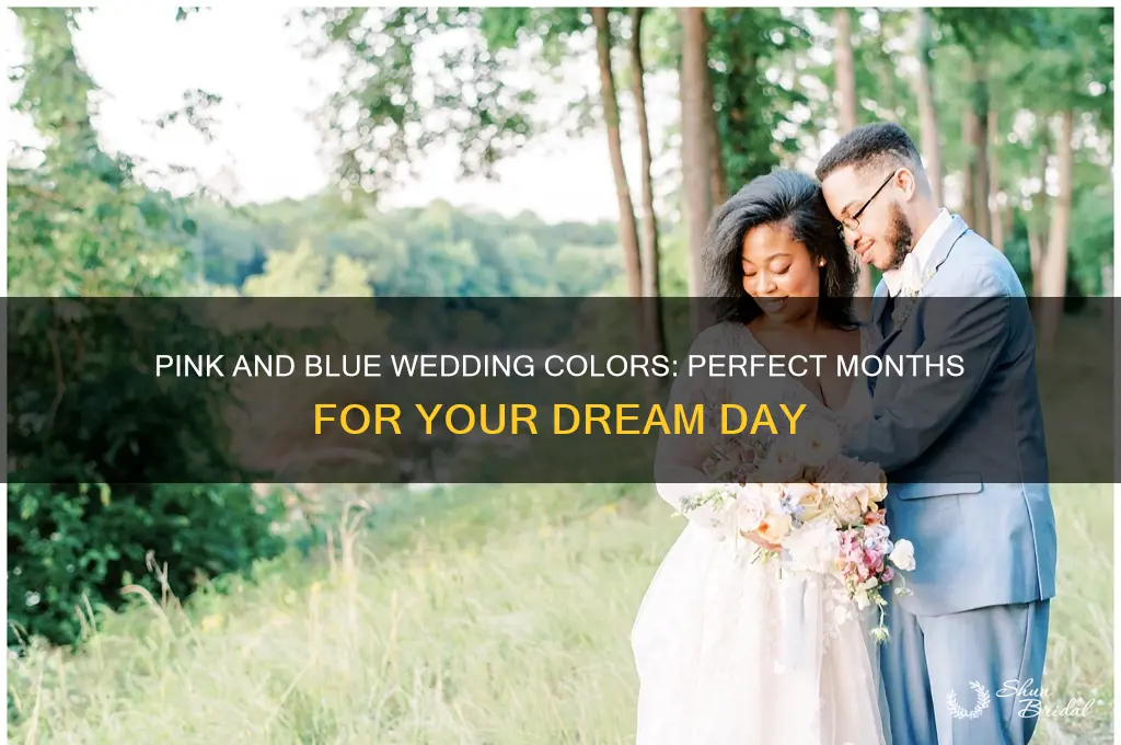 Pink And Blue Wedding Colors: Perfect Months For Your Dream Day ...