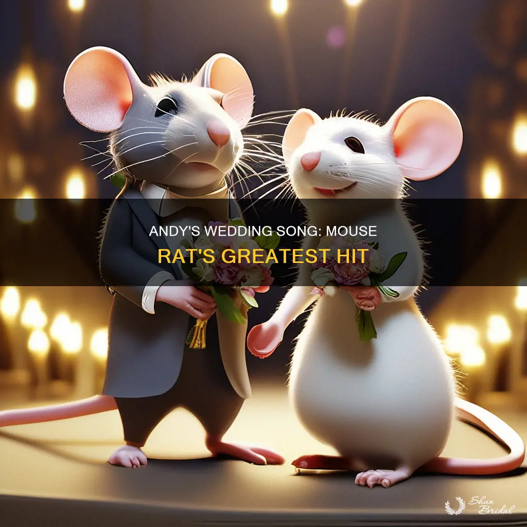 Andy's Wedding Song: Mouse Rat's Greatest Hit | ShunBridal