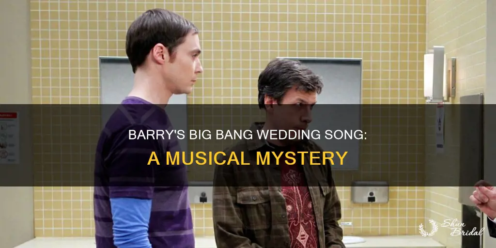 Barry's Big Bang Wedding Song: A Musical Mystery | ShunBridal