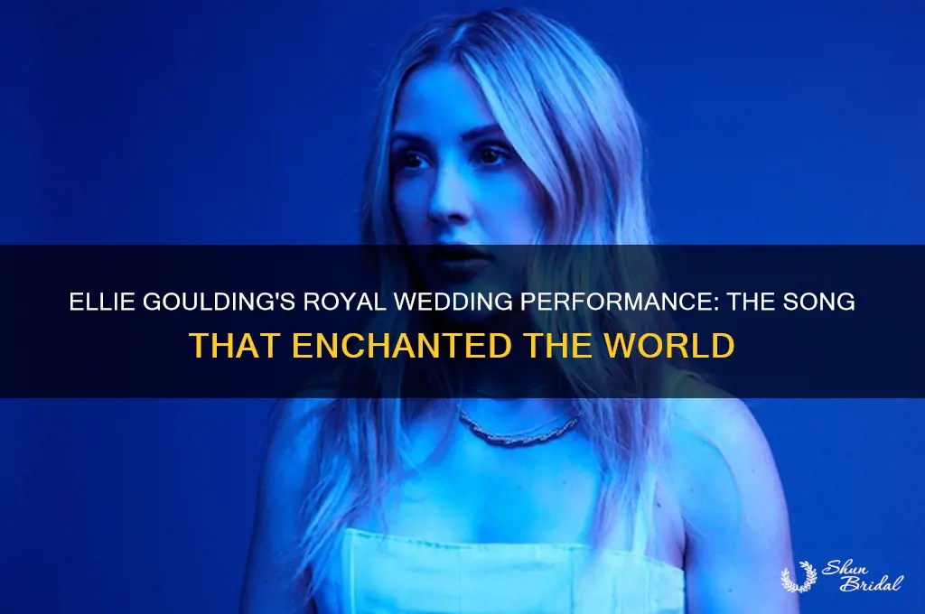 Ellie Goulding's Royal Wedding Performance: The Song That Enchanted The ...