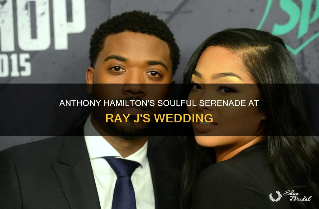 Anthony Hamilton's Soulful Serenade At Ray J's Wedding | ShunBridal