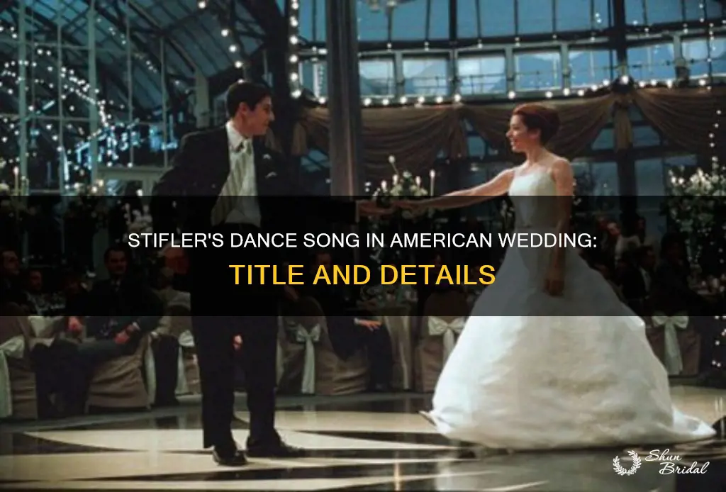 Stifler's Dance Song In American Wedding: Title And Details | ShunBridal