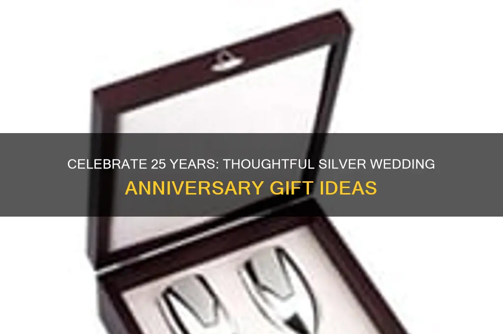 Celebrate 25 Years: Thoughtful Silver Wedding Anniversary Gift Ideas ...