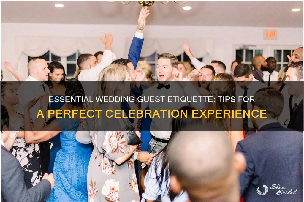 Essential Wedding Guest Etiquette: Tips For A Perfect Celebration ...