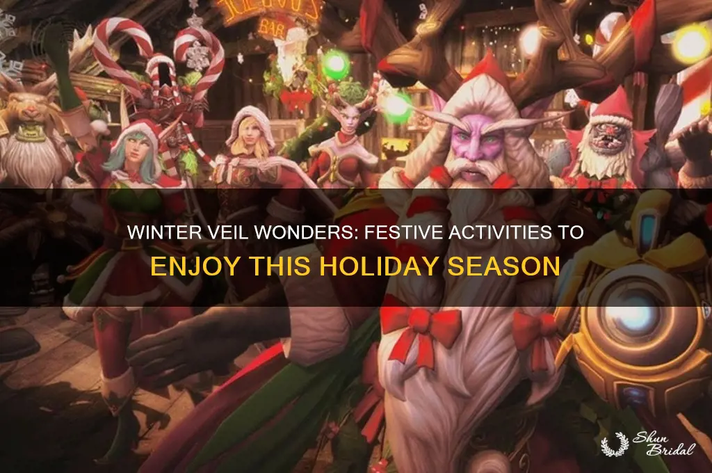 Winter Veil Wonders: Festive Activities To Enjoy This Holiday Season ...