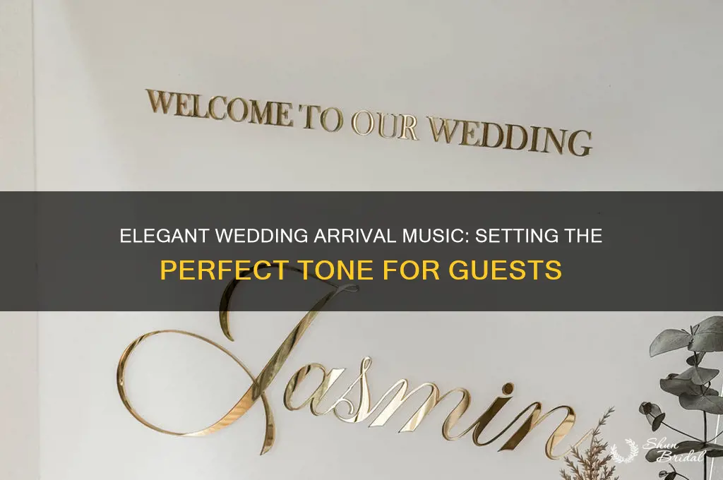 Elegant Wedding Arrival Music: Setting The Perfect Tone For Guests ...