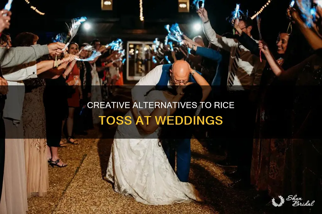 Creative Alternatives To Rice Toss At Weddings | ShunBridal