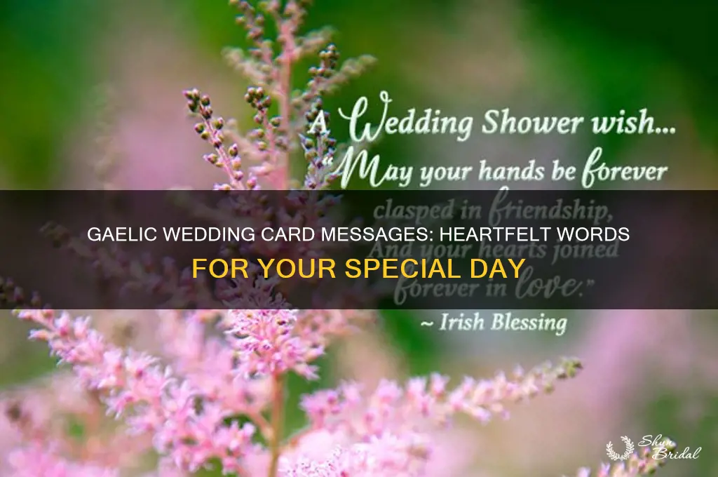 Gaelic Wedding Card Messages: Heartfelt Words For Your Special Day ...