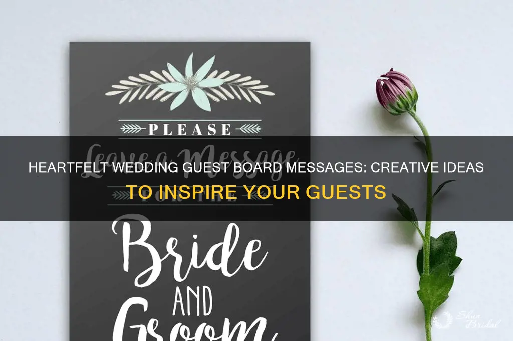 Heartfelt Wedding Guest Board Messages: Creative Ideas To Inspire Your ...