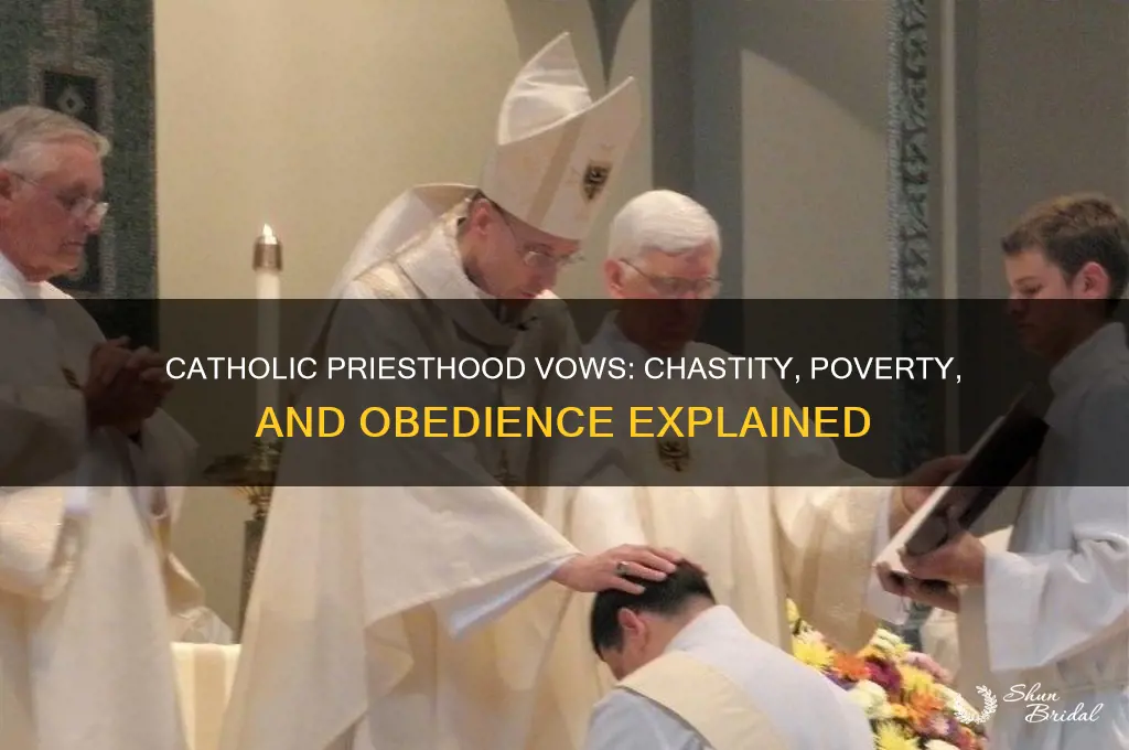 Catholic Priesthood Vows: Chastity, Poverty, And Obedience Explained ...