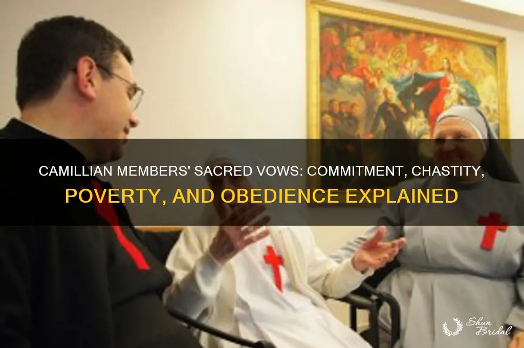 Camillian Members' Sacred Vows: Commitment, Chastity, Poverty, And ...