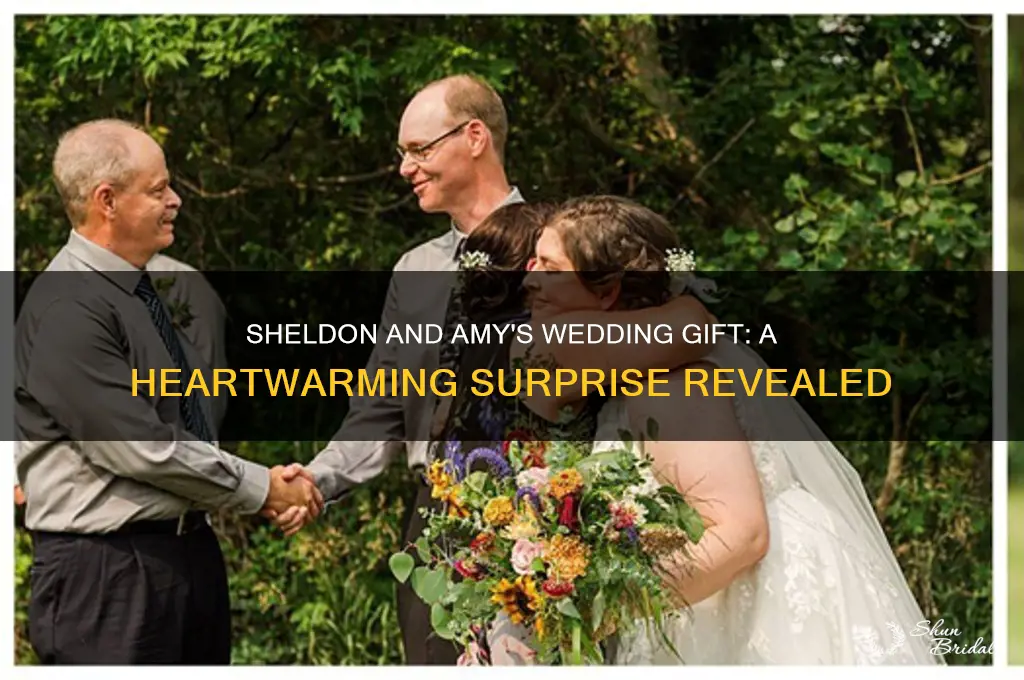 Sheldon And Amy's Wedding Gift: A Heartwarming Surprise Revealed ...