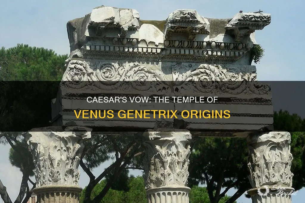 Caesar's Vow: The Temple Of Venus Genetrix Origins | ShunBridal