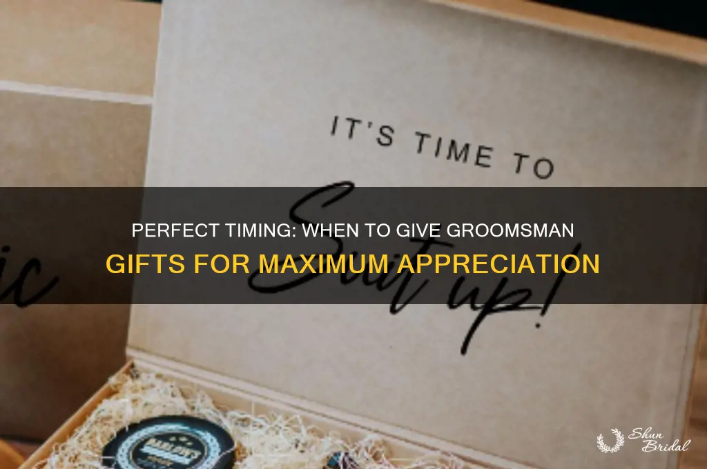 Perfect Timing: When To Give Groomsman Gifts For Maximum Appreciation ...