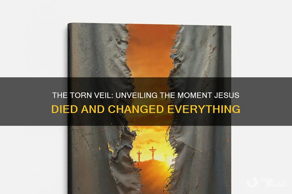 The Torn Veil: Unveiling The Moment Jesus Died And Changed Everything ...