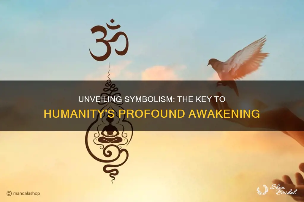 Unveiling Symbolism: The Key To Humanity's Profound Awakening | ShunBridal