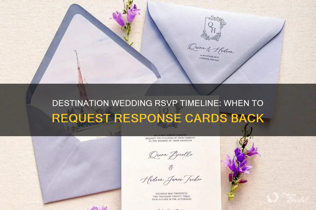 Destination Wedding Rsvp Timeline: When To Request Response Cards Back ...