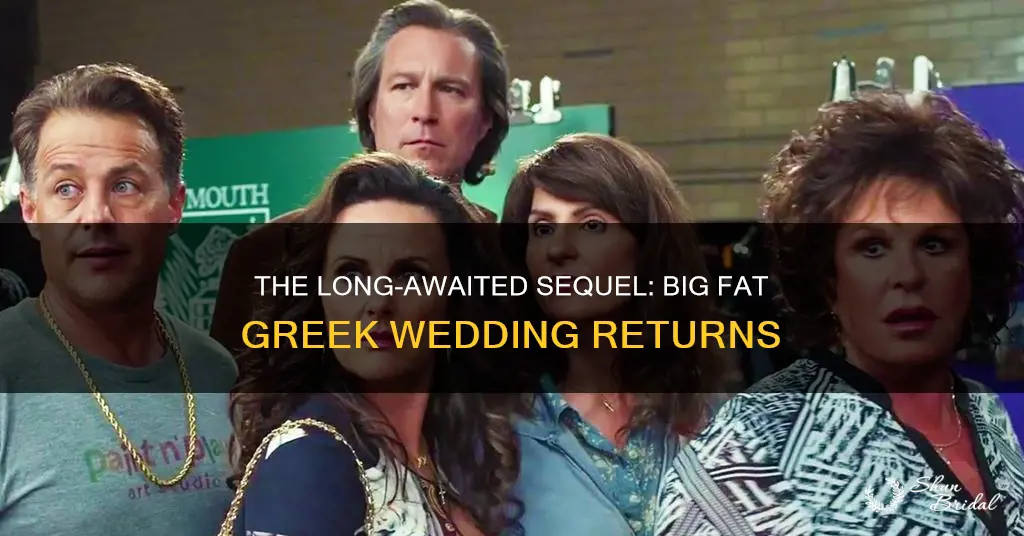 The Long-Awaited Sequel: Big Fat Greek Wedding Returns | ShunBridal