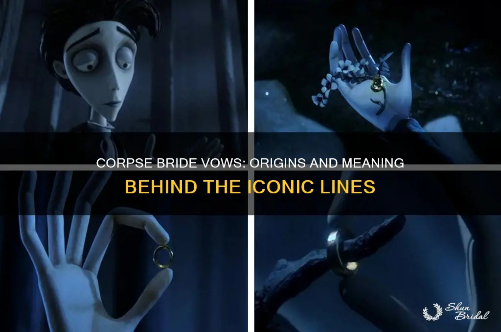 Corpse Bride Vows: Origins And Meaning Behind The Iconic Lines | ShunBridal