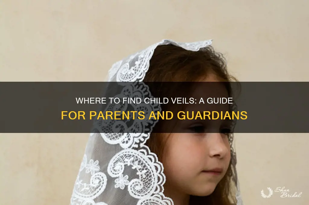 Where To Find Child Veils: A Guide For Parents And Guardians | ShunBridal