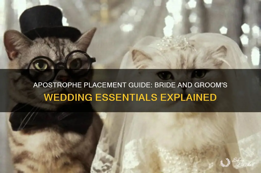 Apostrophe Placement Guide: Bride And Groom's Wedding Essentials ...
