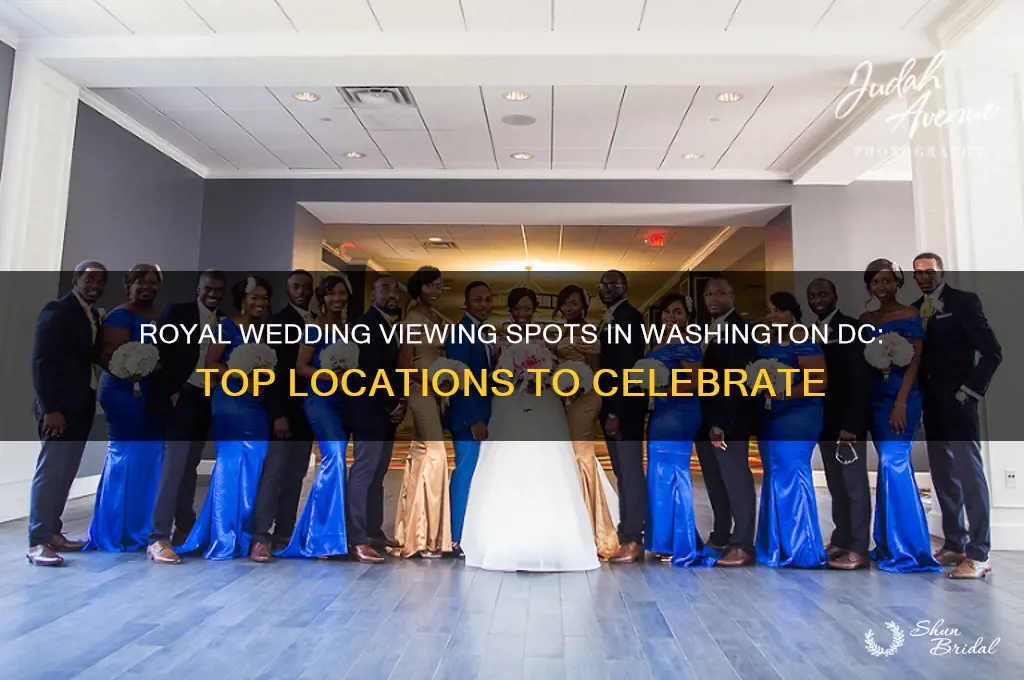 Royal Wedding Viewing Spots In Washington Dc: Top Locations To ...